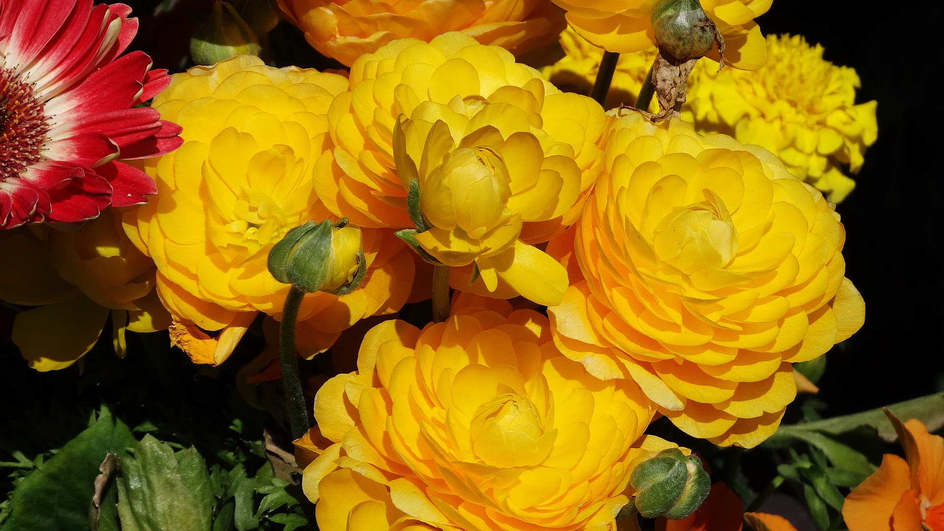 April Air Stirs In~ – Cindy Knoke